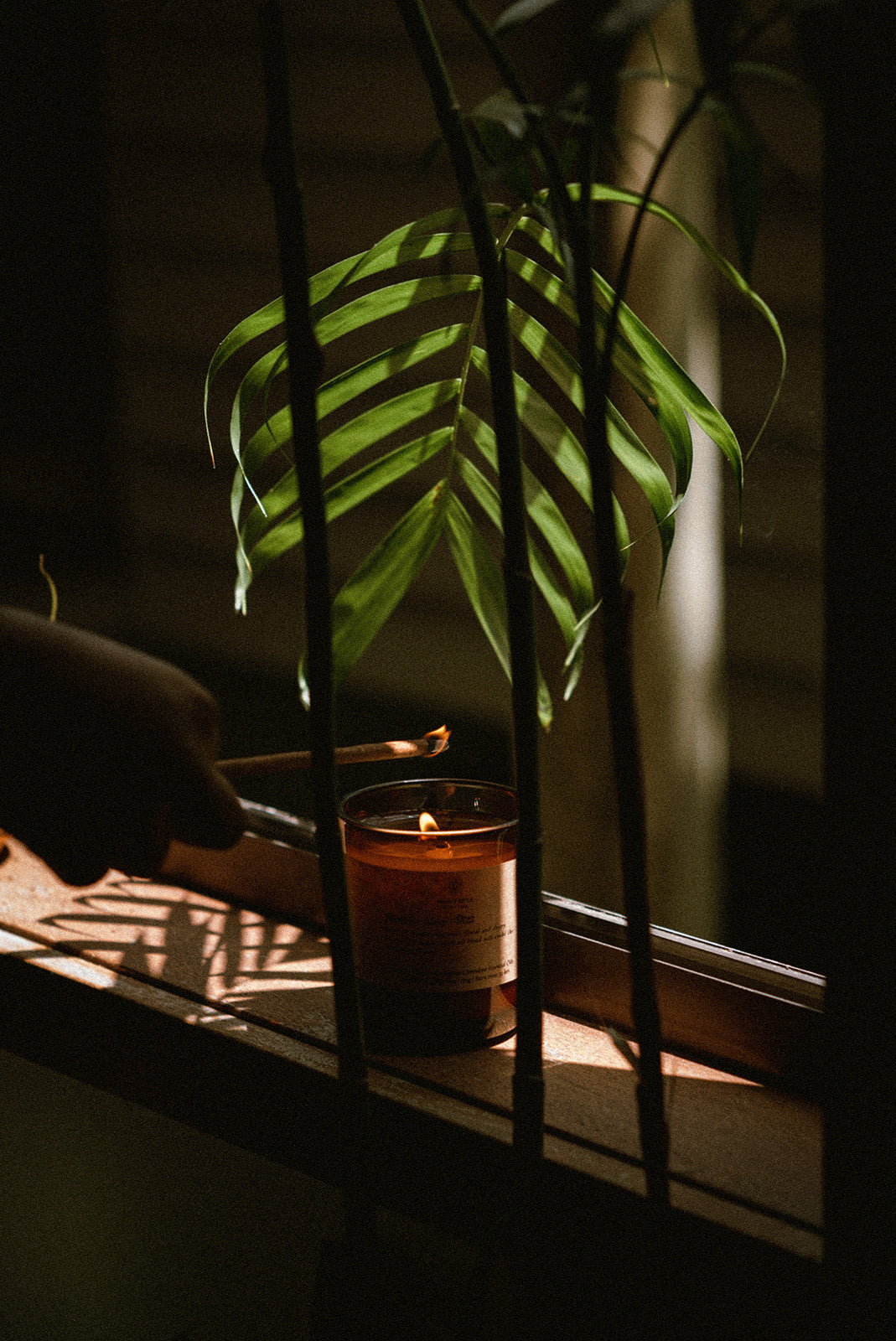 Australian Native Candles – Amavasya Healing Store